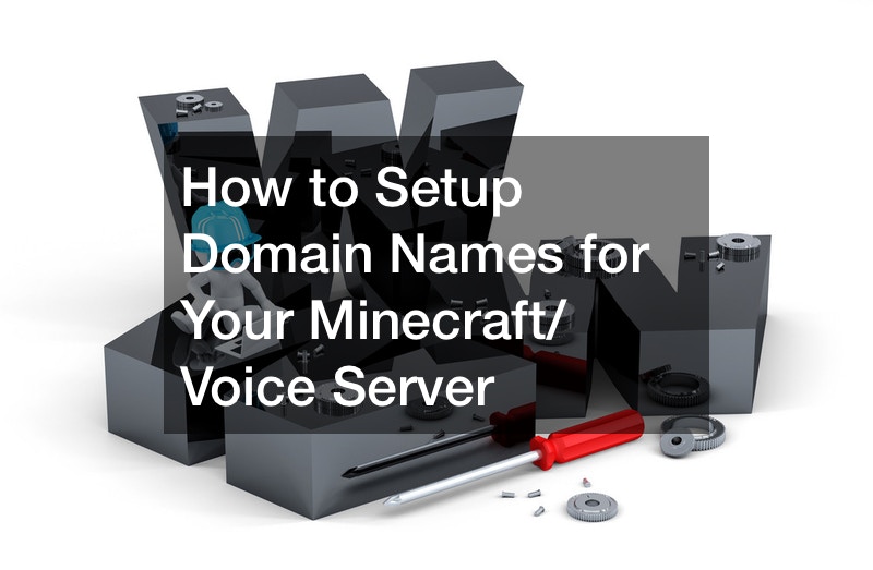 How to Setup Domain Names for Your Minecraft/Voice Server - Pleo HQ